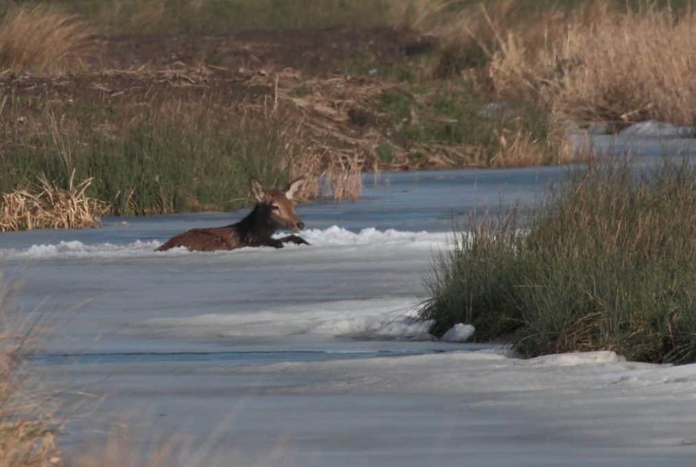 The Aftermath of the Beast | Blog | Holkham
