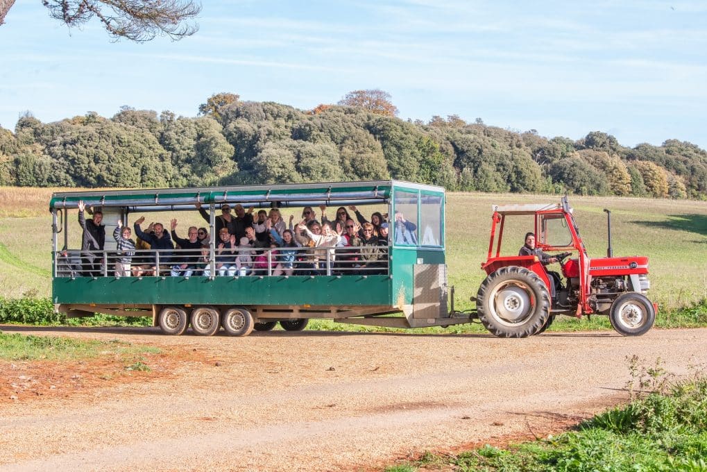 Grand Tour Tractor Trailer Tour | Holkham