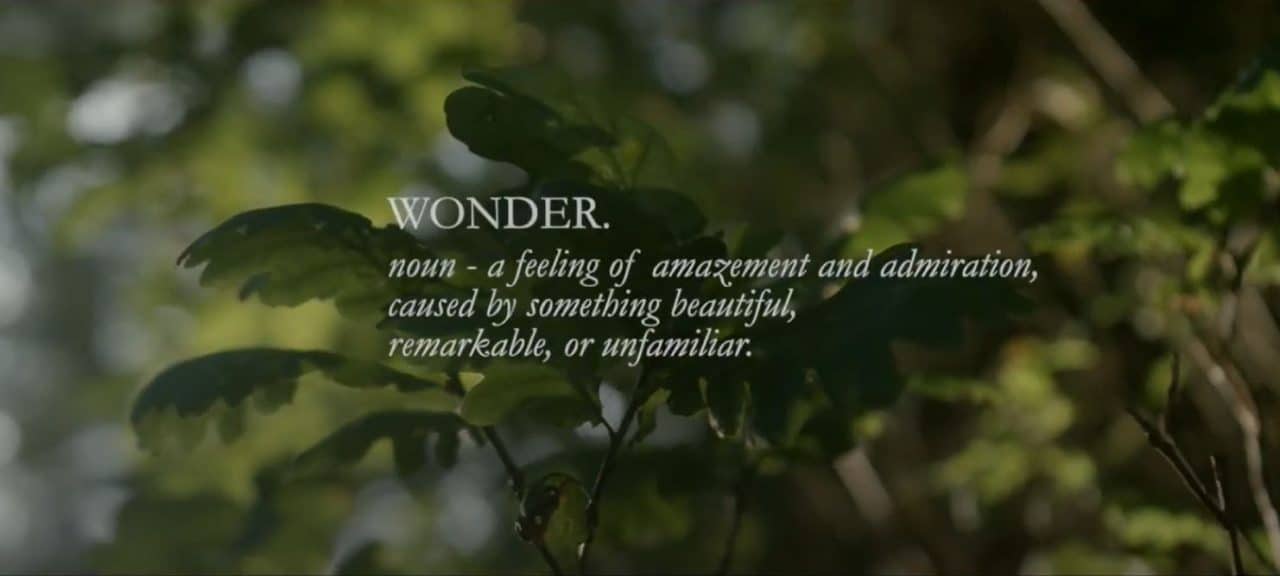 Launching WONDER, Sustainability | Blog | Holkham