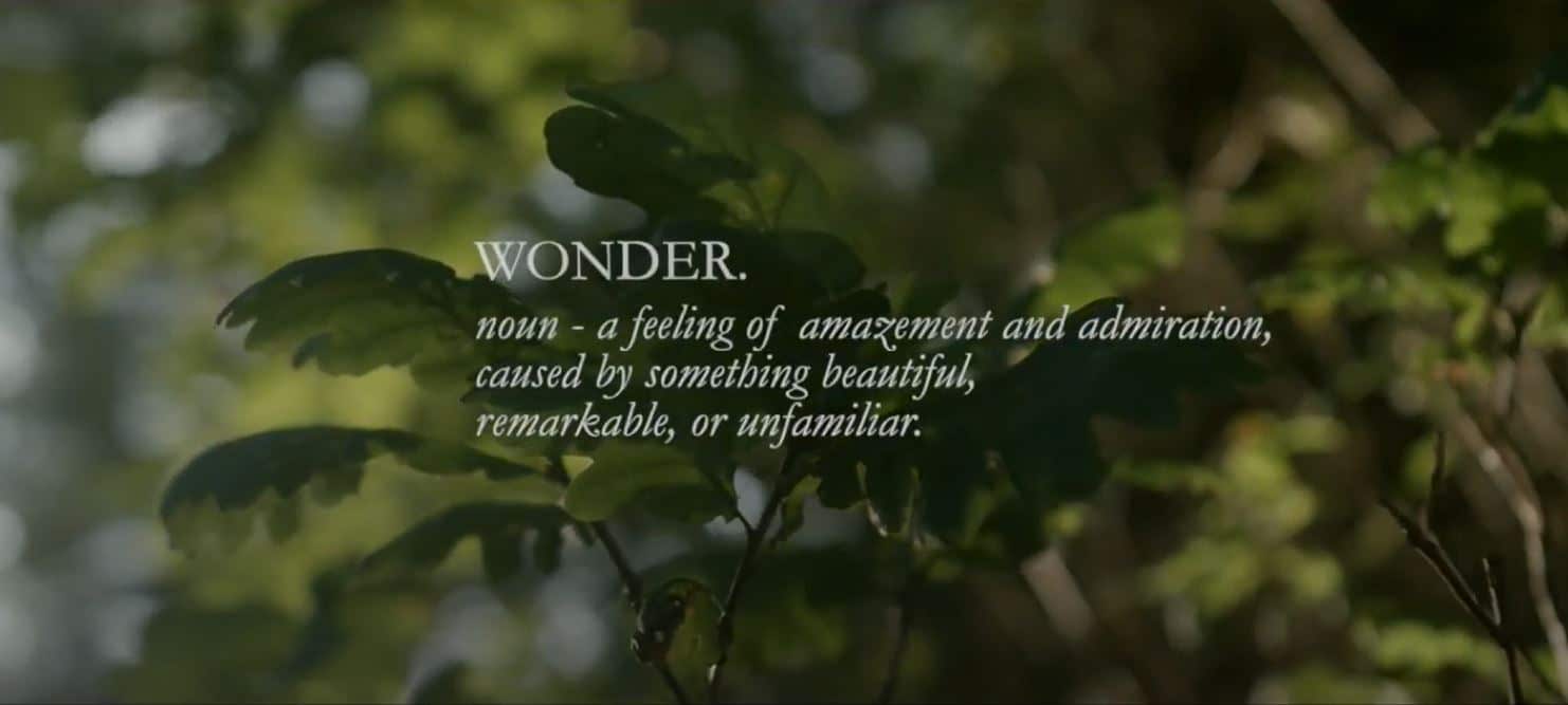Launching WONDER, Sustainability | Blog | Holkham