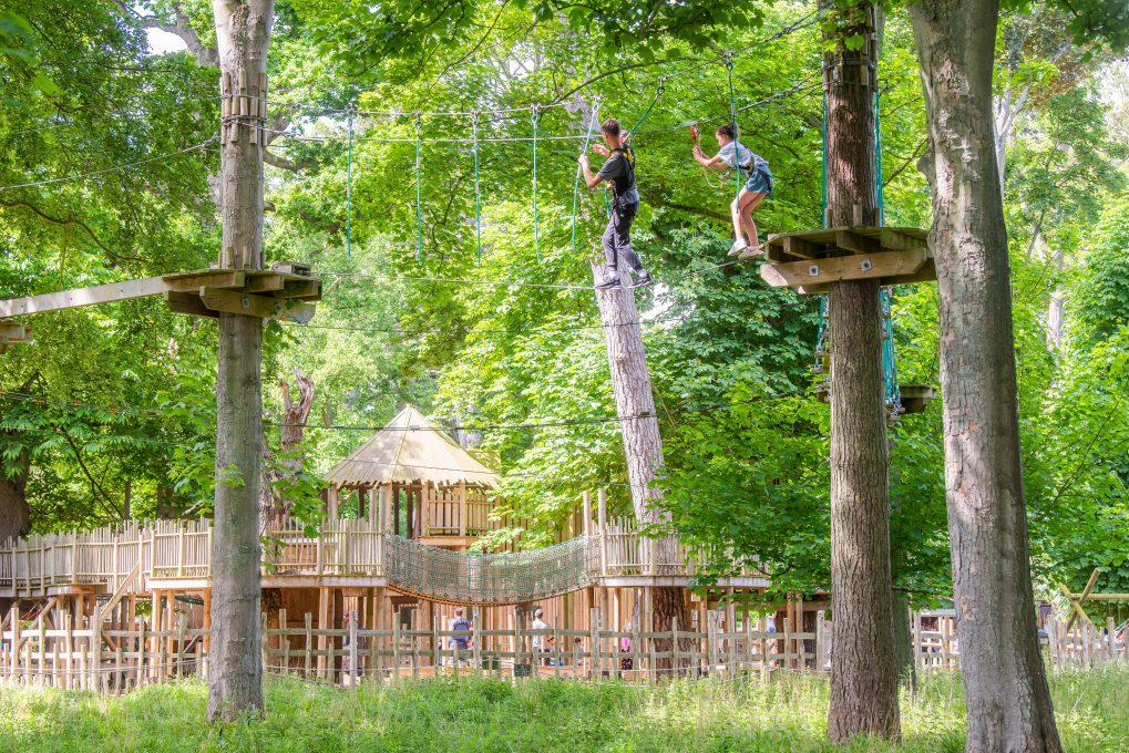 Ropes Course | Things to Do | Family Days Out in Norfolk