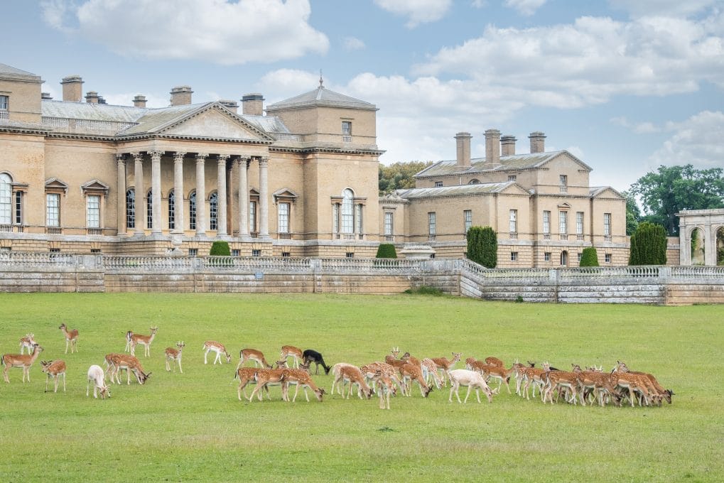 The Park | Visiting Holkham | Family Days out Norfolk