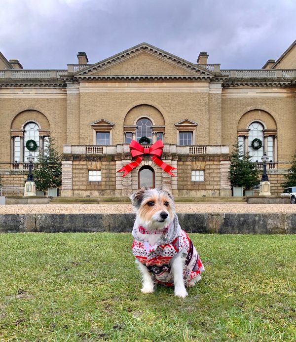 Christmas 2025 at Holkham | Festive Events & Things To Do in North Norfolk