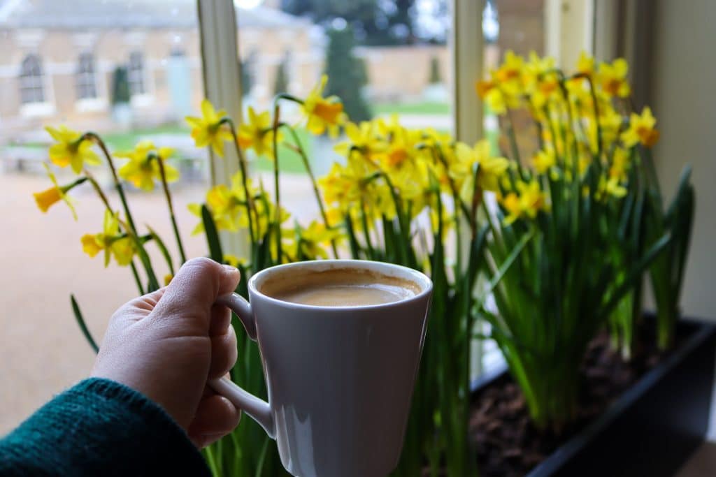 Places to eat - Holkham