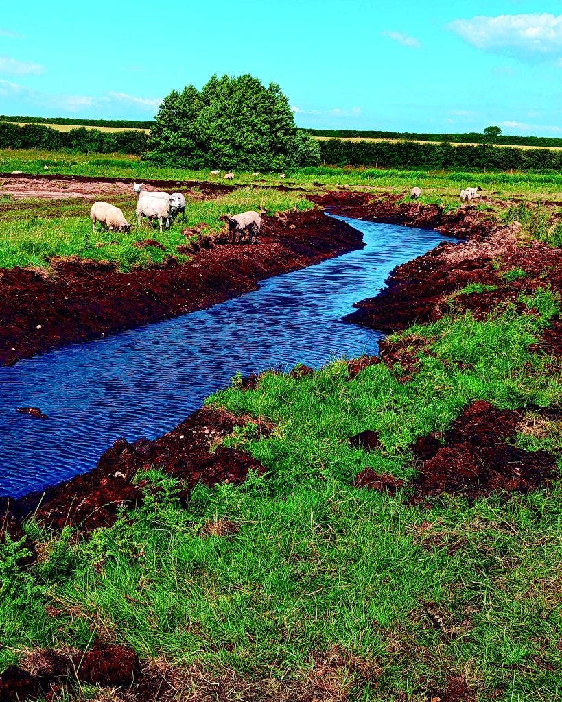 Following the natural course - River Stiffkey - Holkham