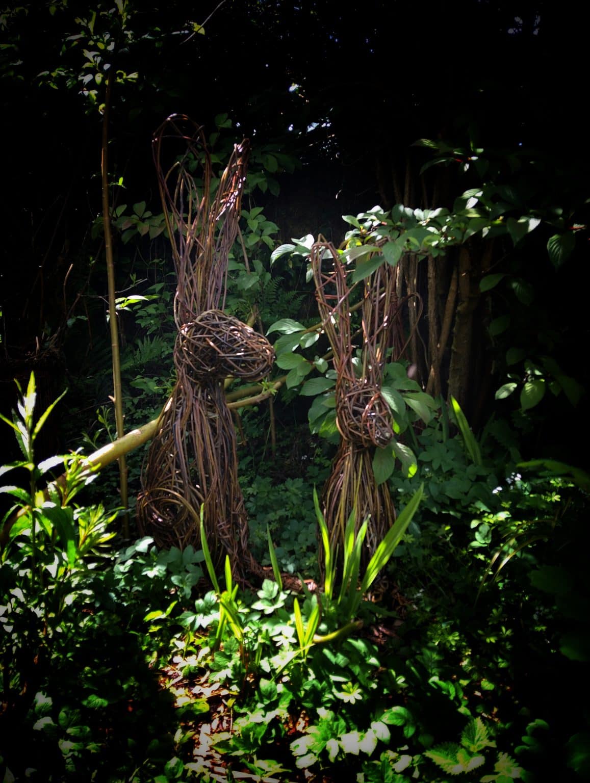 Willow Weaving Workshop - Hares - Holkham