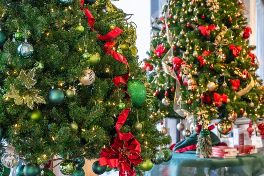 Twixmas 2025: Things to do between Christmas and New Year - Holkham