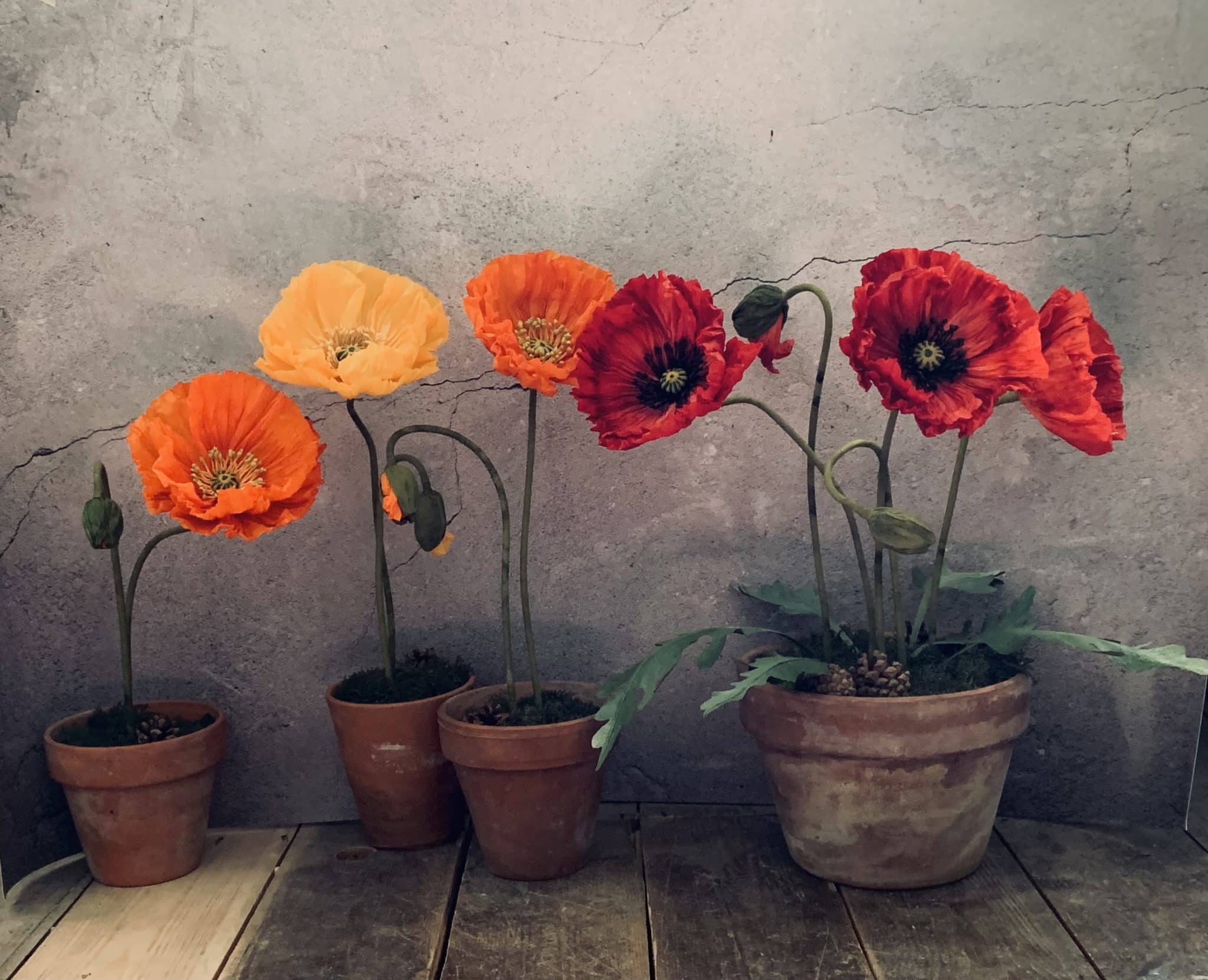Floragami - Paper flower making workshop - Poppies in pots