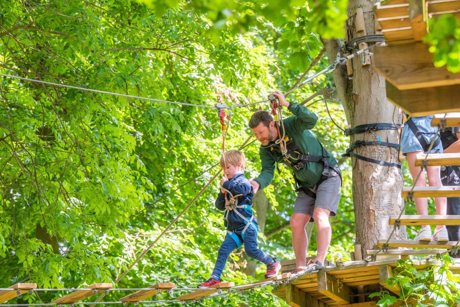 High Ropes Birthday Competition - Holkham