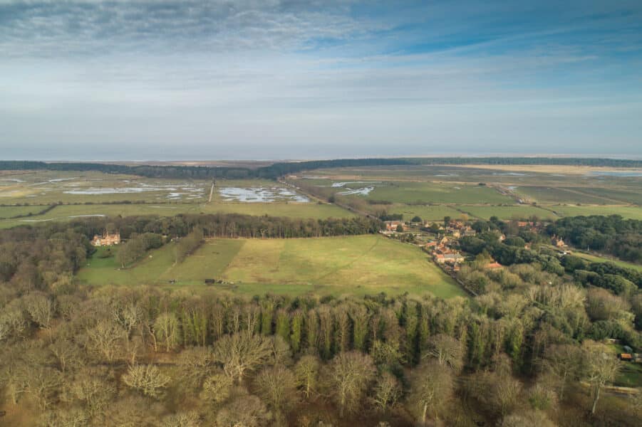 Immy's 10 wonders of Holkham wildlife you must see during your visit to ...